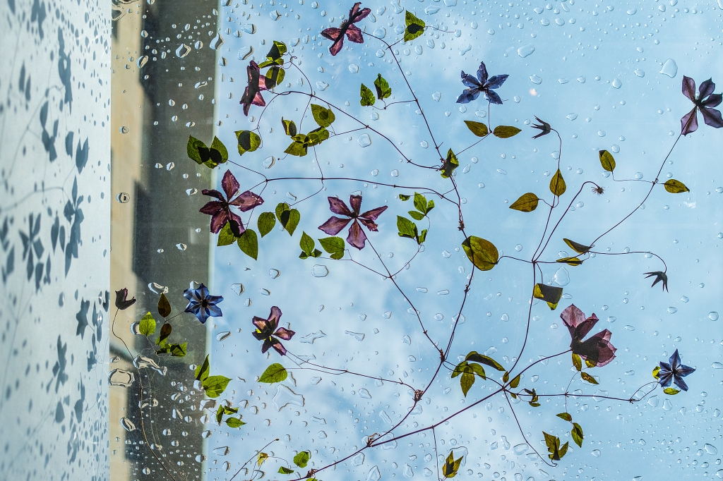 Hotel Santa Sofia Milan Opens With Botanical Installation by Studio Mary Lennox | Client Magazine